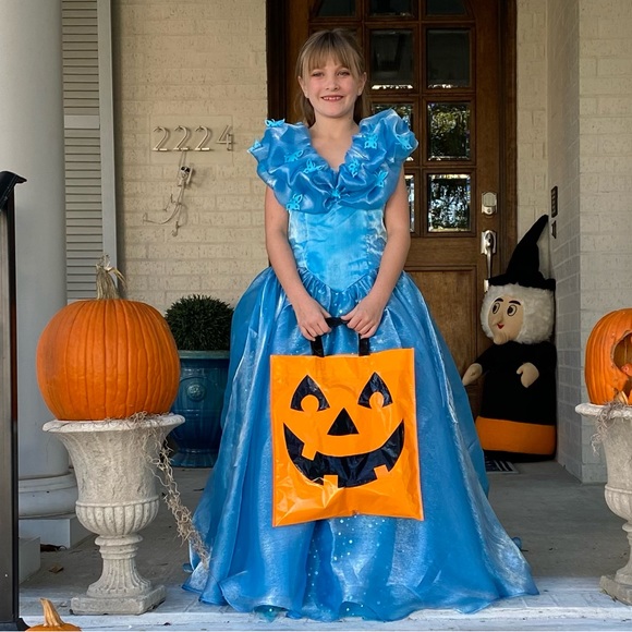 Costumes | Custom Cinderella Gown Costume With 3d Butterfly Details On ...